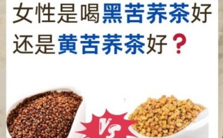 苦荞茶的功效与作用及禁忌_苦荞茶能天天喝吗