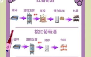 怎么用葡萄酿酒_自酿葡萄酒步骤详解