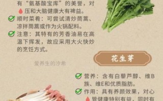芽菜的功效与作用_芽菜怎么吃最营养