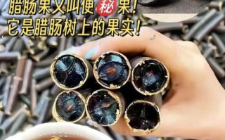腊肠果的功效与作用_腊肠果能减肥吗