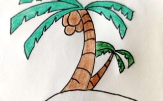 椰子树简笔画怎么画_椰子树简笔画视频教程