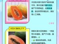 水果木瓜和木瓜的区别_木瓜和番木瓜一样吗