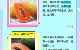 水果木瓜和木瓜的区别_木瓜和番木瓜一样吗