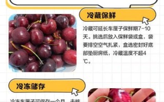 车厘子怎么保存才新鲜_车厘子可以放多久