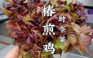 干香椿炒鸡蛋怎么做_干香椿要不要焯水