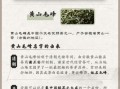 黄山毛峰茶叶是绿茶吗_黄山毛峰属于什么茶类