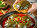 麻辣甲鱼最正宗的配料_怎么做才够味