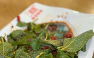 薄荷叶做菜的做法大全_薄荷叶怎么做好吃