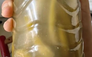 淹酸豆角怎么做_淹酸豆角需要几天