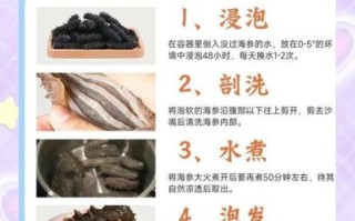 海参怎么发最快_干海参最简单的泡发方法