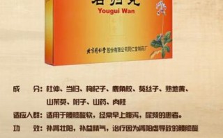 阳虚吃什么药效果最好_阳虚体质如何调理