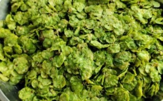 榆钱饭怎么做_榆钱饭香的做法窍门