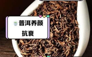 普洱茶怎么泡才正确_普洱茶的功效与作用