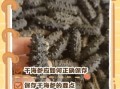 干海参怎么保存_干海参可以放多久
