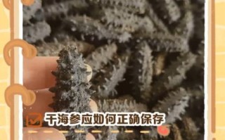 干海参怎么保存_干海参可以放多久