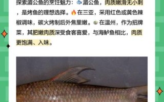 湄公鱼是什么鱼_湄公鱼图片长什么样