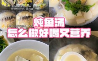 豆腐鱼汤怎么做_豆腐鱼汤怎么做好喝