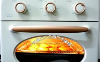 家用电烤箱食谱大全_新手也能一次成功