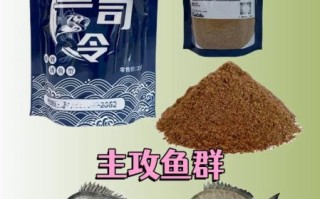 黑鲷鱼怎么钓_黑鲷鱼吃什么饵料