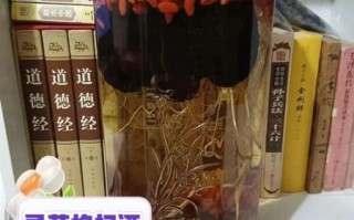灵芝泡酒的功效与作用_灵芝泡酒怎么泡才有效