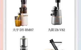 原汁机食谱大全_原汁机怎么做果汁好喝