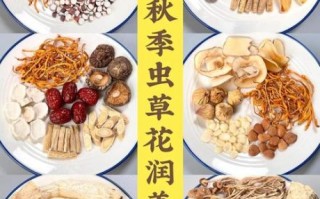 虫草花怎么吃_虫草花煲汤做法