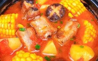 番茄炖排骨的家常做法_番茄炖排骨怎么做好吃又烂