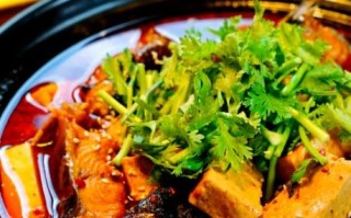 鲶鱼火锅怎么做_鲶鱼火锅的做法大全