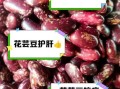 花芸豆的功效与作用_花芸豆怎么做好吃