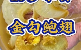 鱼翅怎么泡发_鱼翅最简单的做法