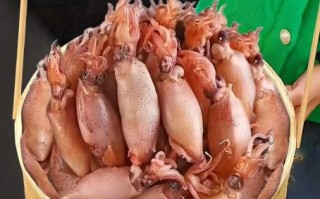 小海兔怎么清洗_小海兔怎么吃才安全