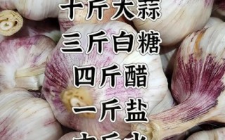 糖蒜怎么腌制才脆_糖蒜的做法窍门