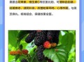 黑芝麻丸有用吗_黑芝麻丸的功效与副作用
