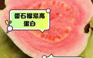 番石榴怎么吃_番石榴不能和什么一起吃