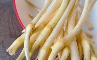 藕带的功效与作用_藕带能减肥吗