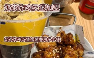 炸鸡汉堡奶茶一体加盟多少钱_总投资预算明细