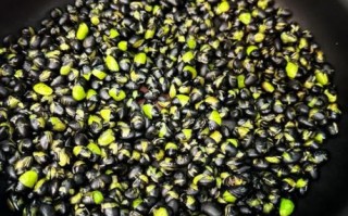 醋泡黑豆怎么做补肾效果好_醋泡黑豆的正确做法