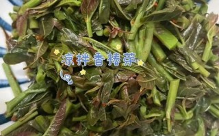 香椿怎么凉拌好吃_香椿凉拌要不要焯水