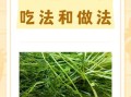 小茴香哪些人不能吃_孕妇能吃小茴香吗