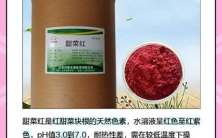 甜菜红素的功效与作用_甜菜红素怎么吃最有效
