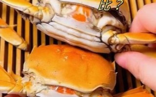 螃蟹怎么清洗_螃蟹怎么蒸才鲜嫩