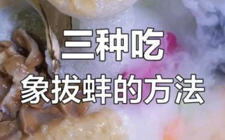 象拔蚌好吃吗_什么味道