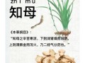 知母的功效与作用_知母适合哪些人吃