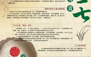 长期喝三七粉的好处和坏处_三七粉能长期吃吗