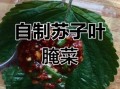 苏子叶怎么腌制好吃_苏子叶的家常做法大全