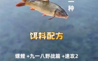 鲤鱼饵料怎么搭配_鲤鱼饵料配方推荐