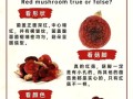 红菇怎么辨别真假_红菇真假鉴别方法
