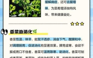 香菜的功效与作用有哪些好处_吃香菜真的能排毒吗