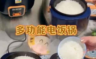 电饭煲做菜饭怎么做_电饭煲做菜饭需要多久