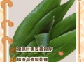 粽叶怎么煮能保持绿色_粽叶煮多久不变黄
